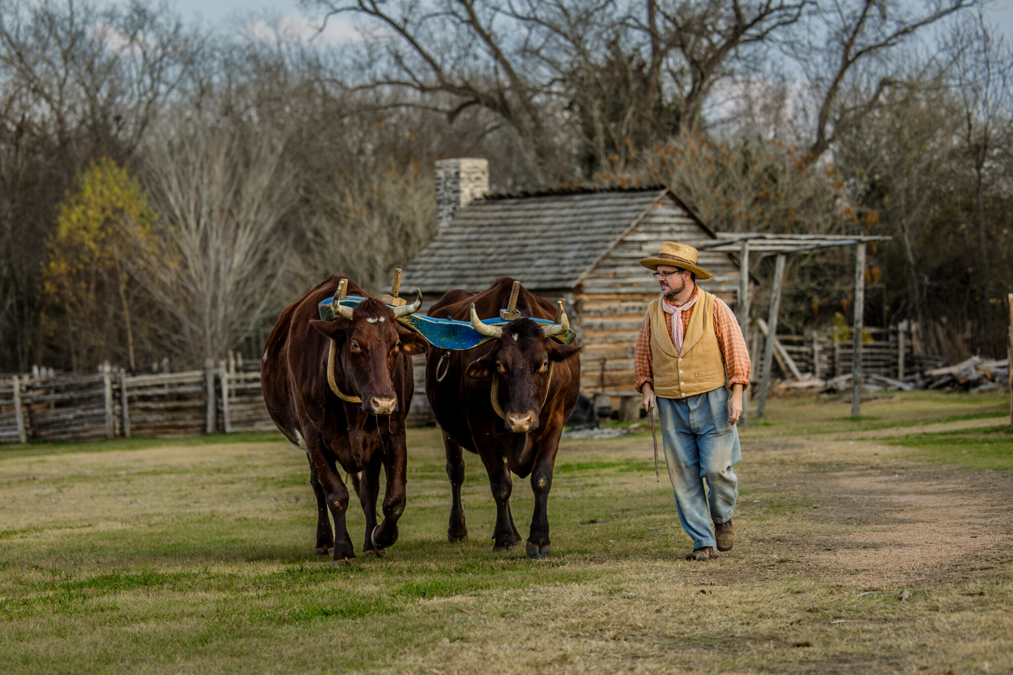 wheretexasbecametexas.org
